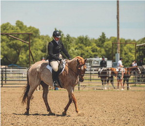 STATE 4-H HORSE SHOW RESULTS | Wagner Post